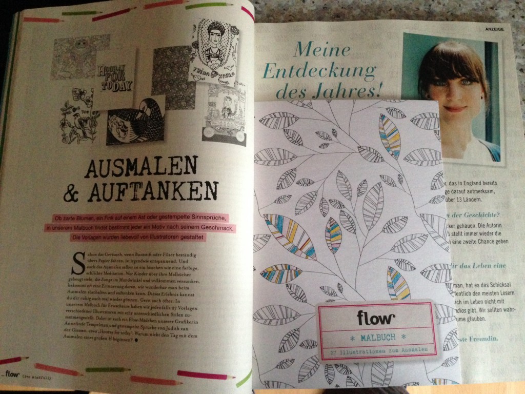 Warum eigentlich das Flow-Magazin? | franziskript.de